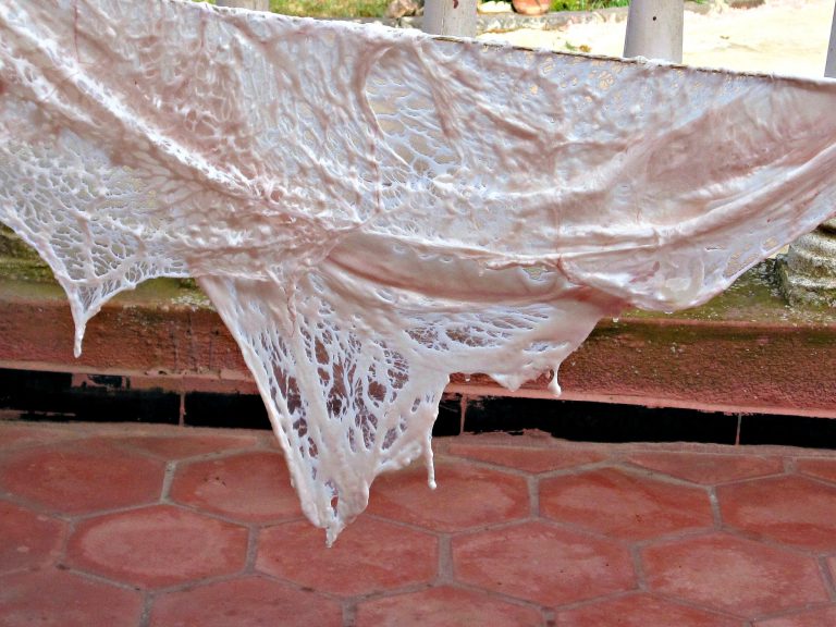 Caul Fat in Moroccan Cuisine - Taste of Maroc