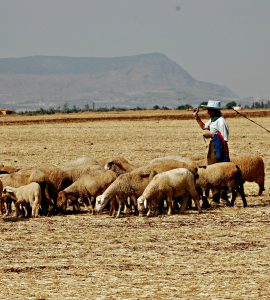 Moroccan Culture - Taste of Maroc